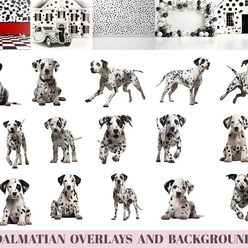 Dalmatian Wall Art - Etsy