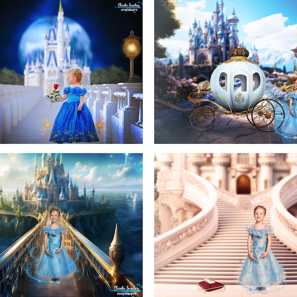 Cinderella Backdrop - Etsy