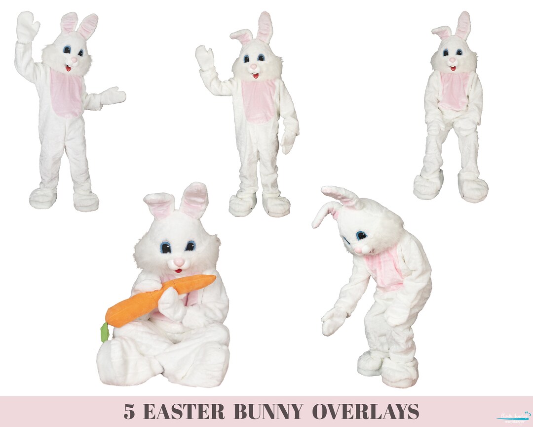 Easter Bunny Digital Overlays, Digital Photo Overlays, Transparent ...