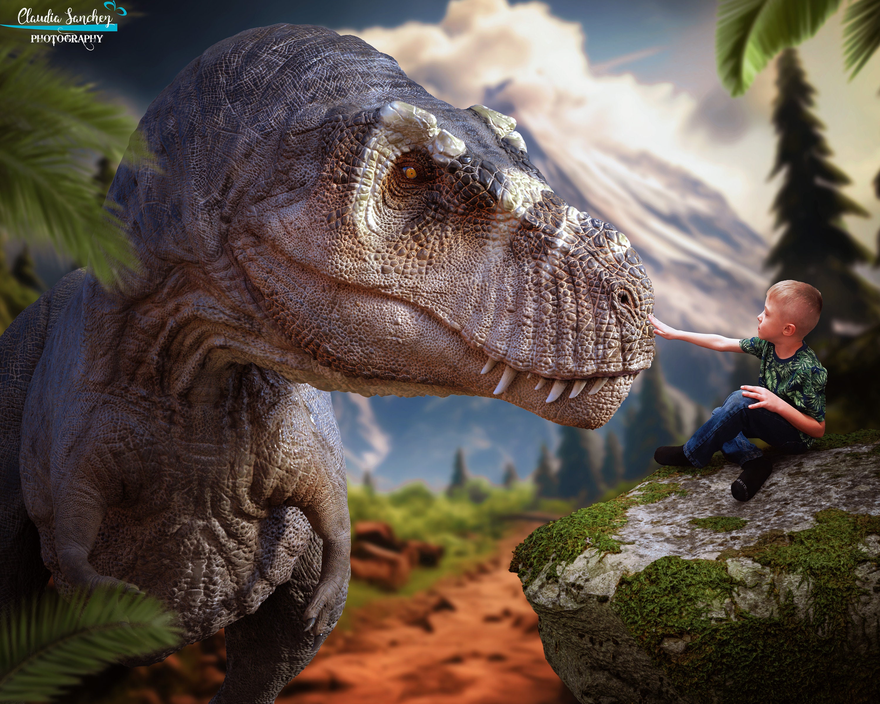 FOUR Trex Dino Digital Backgrounds, Tyrannosaurus Rex, Jurassic ...