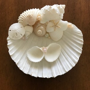 Custom Sea Shell Ring Holder | Seashell Ring Holder L Beach Wedding ...