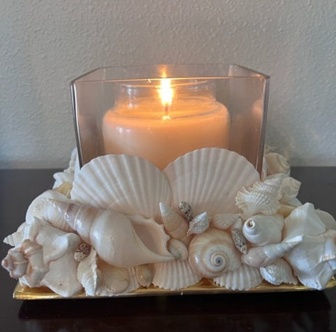 Seashell Vase or Lantern L Coastal Decor L Mother's Day Gift - Etsy