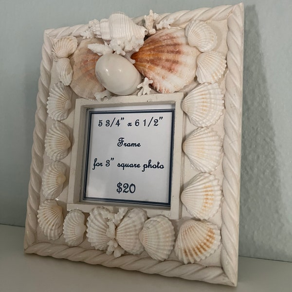Seashell Frame - Etsy