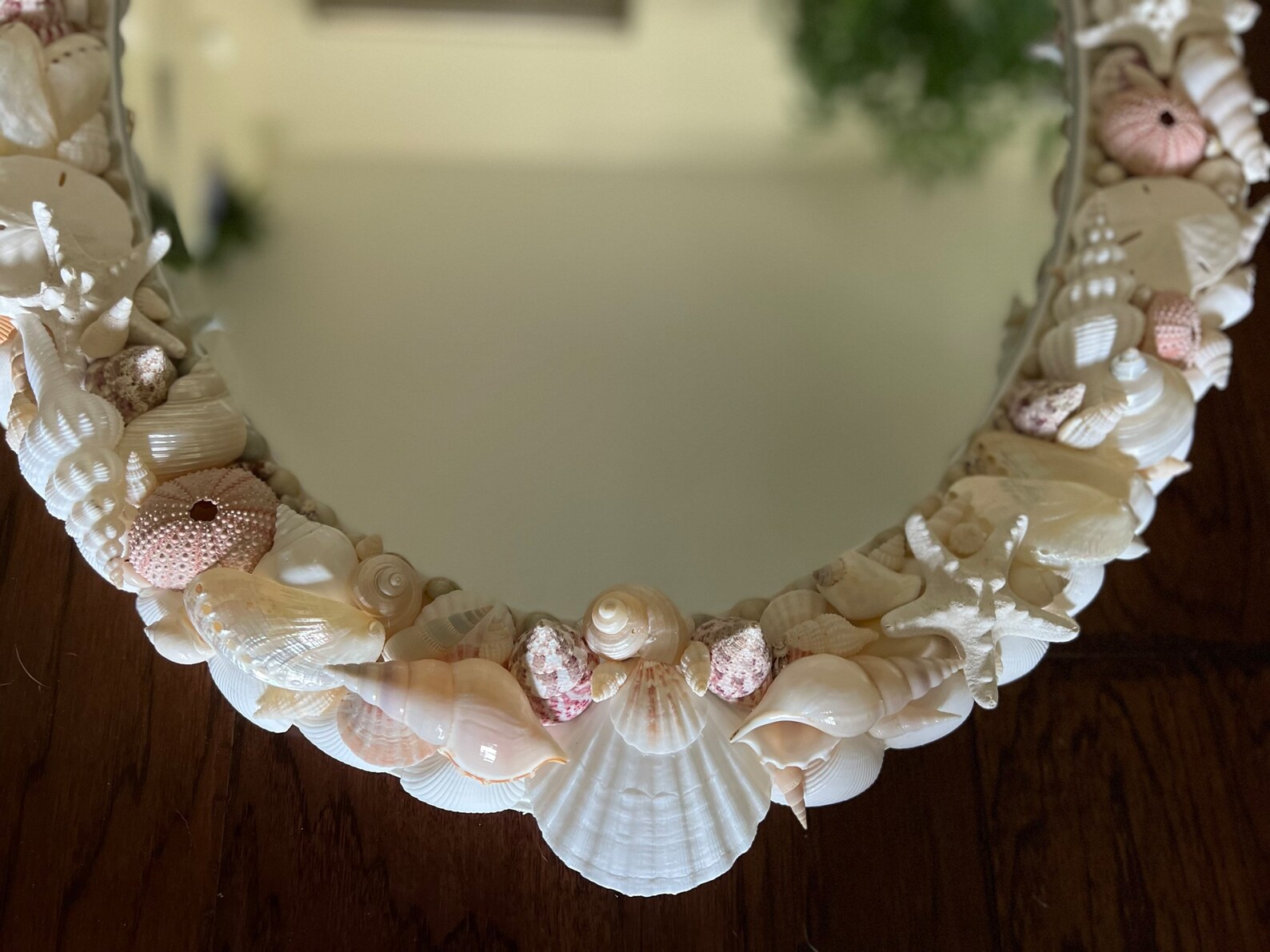 Pink Accents Oval Custom Seashell Mirror - Etsy