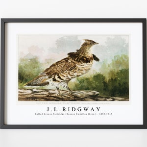J.L. Ridgway Print Download Digital File - Ruffed Grouse Partridge 1859 ...