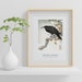 Ohara Koson - A Crow and the Full Moon (1900-1930) by Ohara Koson (1877 ...