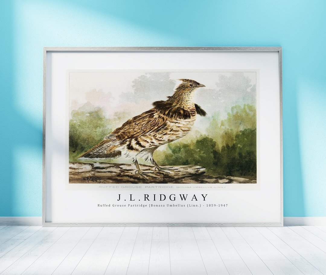 J.L. Ridgway Print Download Digital File - Ruffed Grouse Partridge 1859 ...