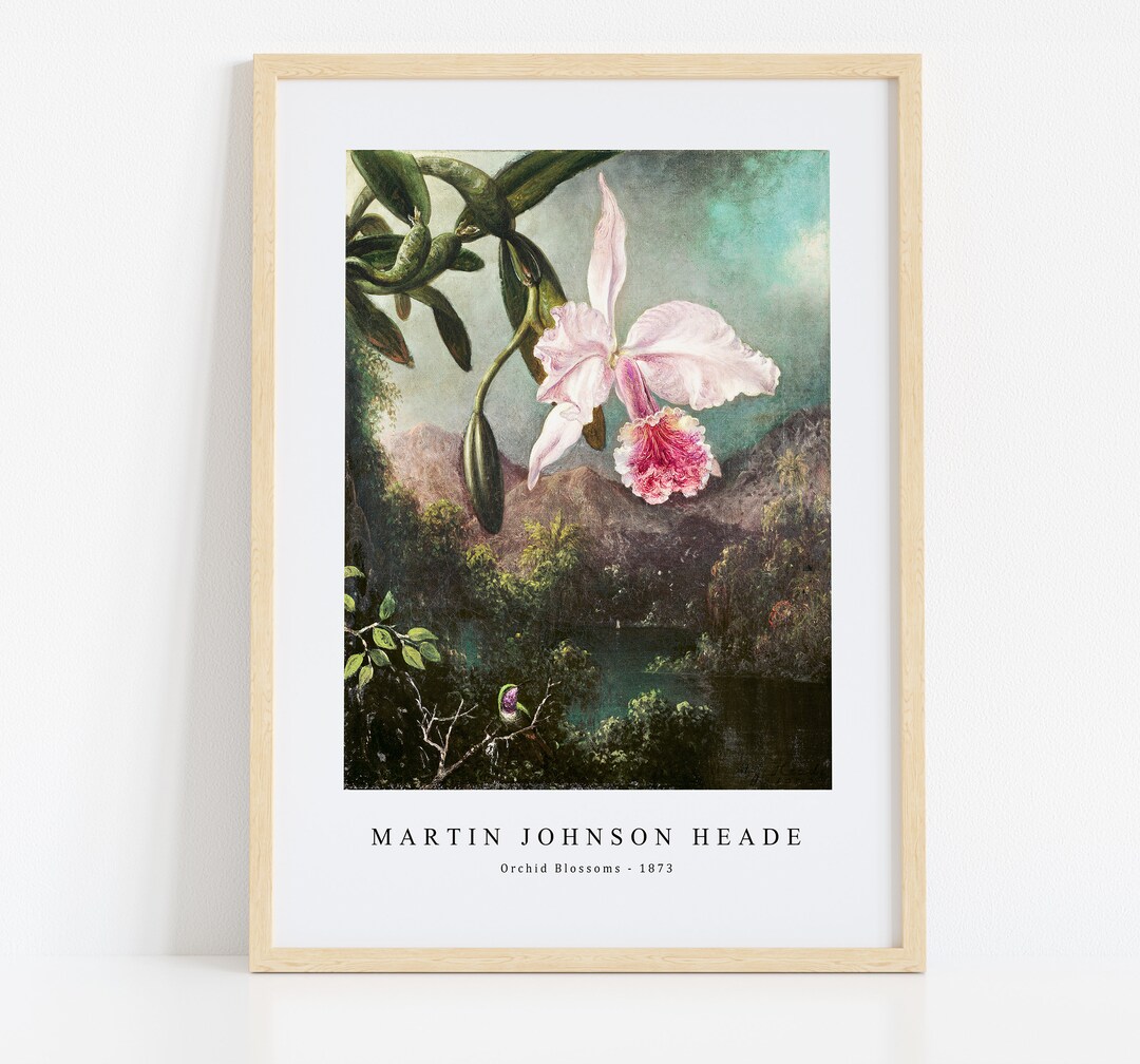 Martin Johnson Heade Print Download Digital File - Orchid Blossoms ...