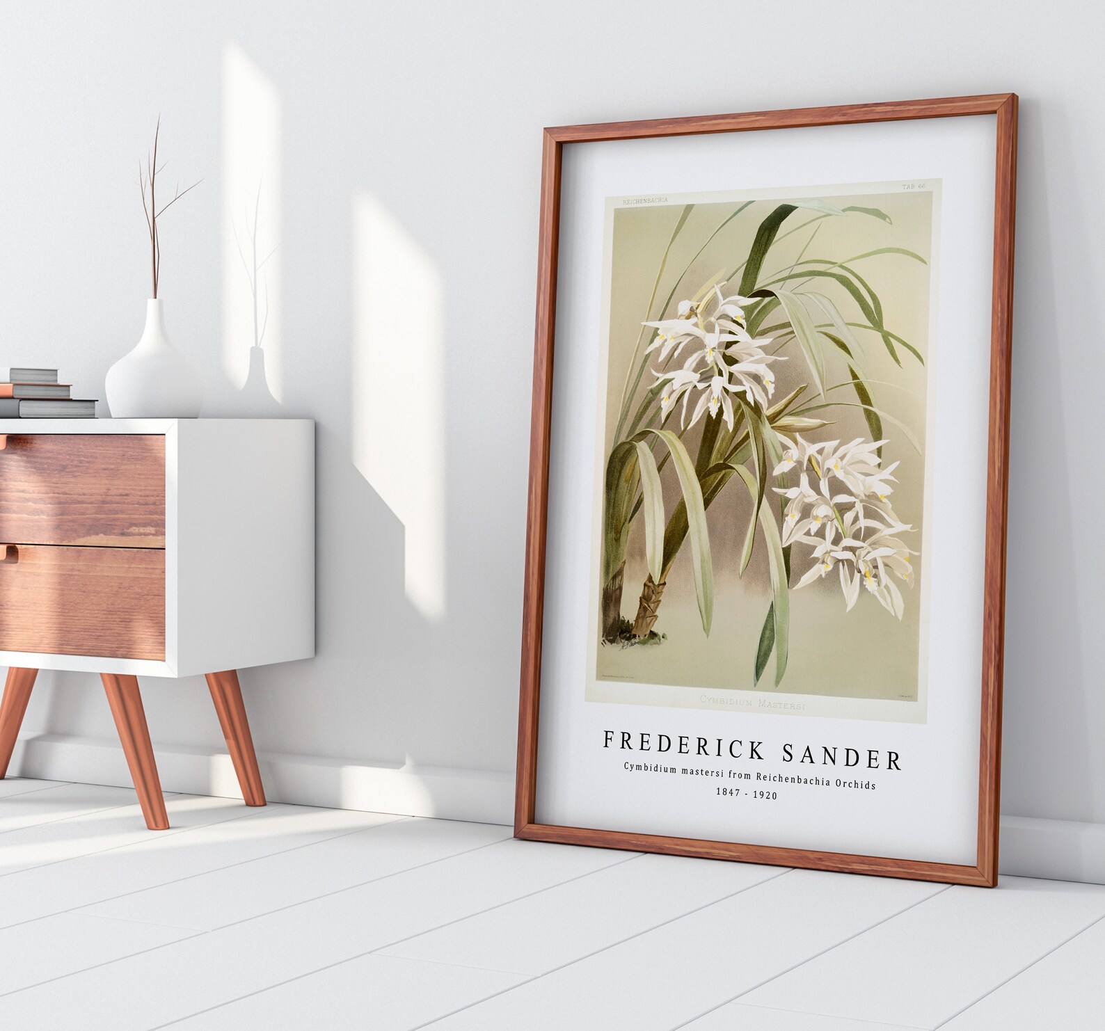Frederick Sander Art Print | Cymbidium Mastersi From Reichenbachia ...