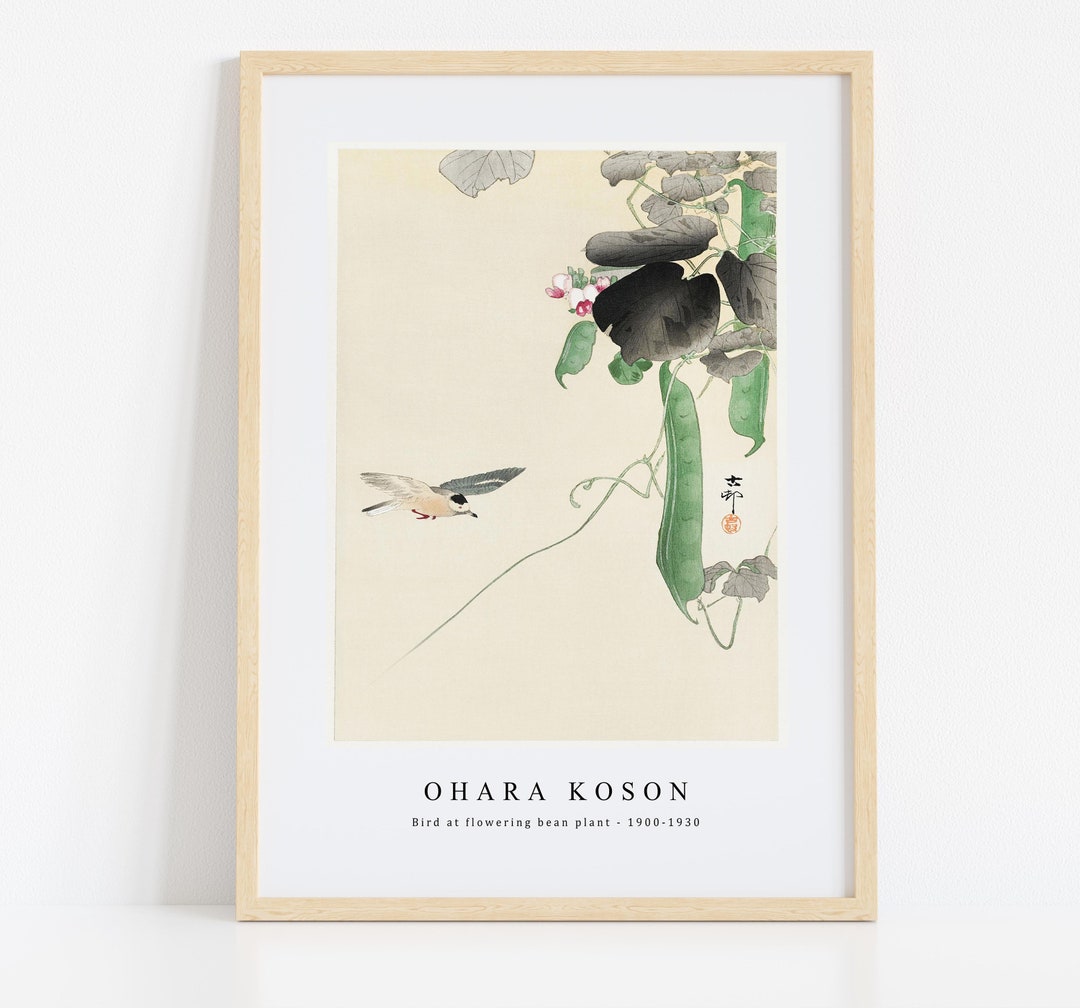 Ohara Koson Print Download Digital File - Bird at Flowering Bean Plant ...