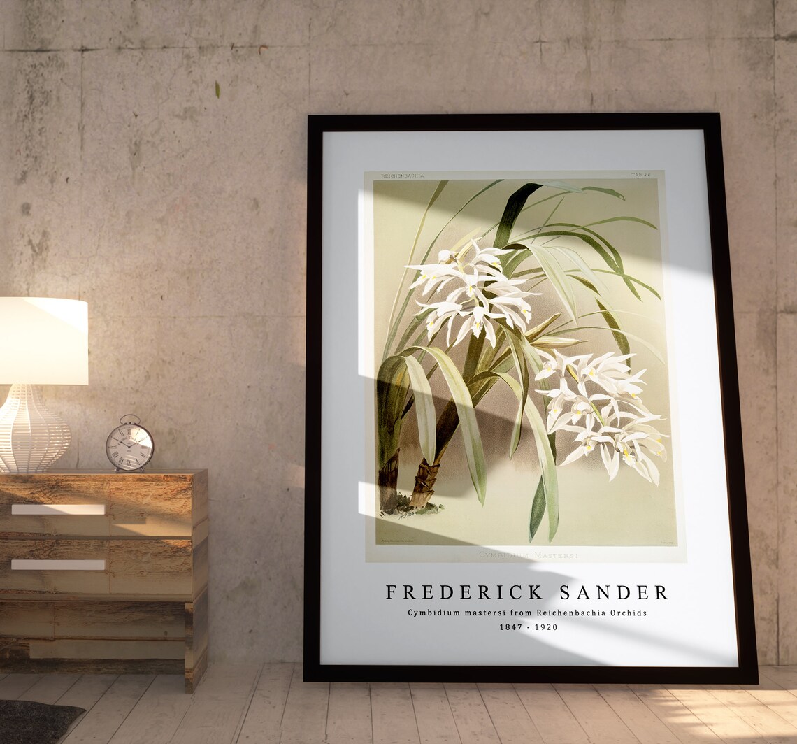 Frederick Sander Art Print | Cymbidium Mastersi From Reichenbachia ...