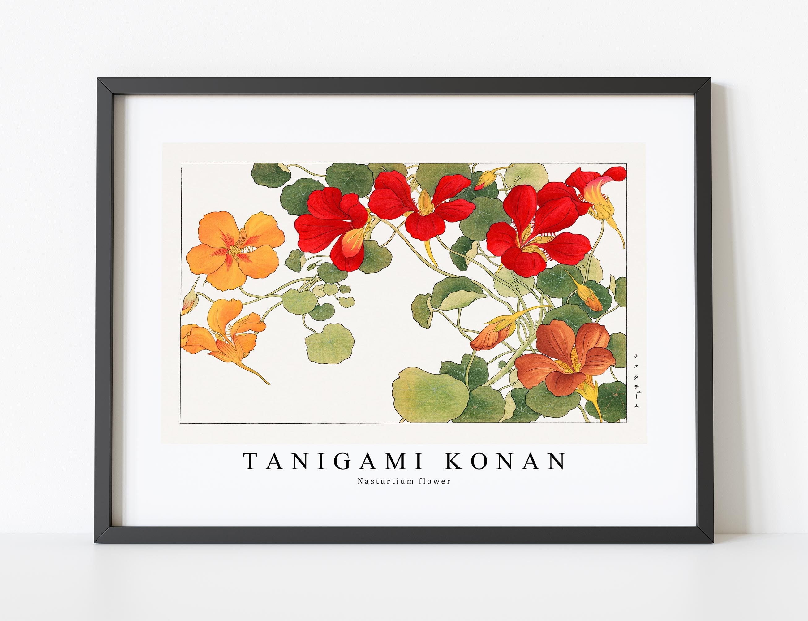 Konan zodiac sign 60 photos - Astrologytoyou.com