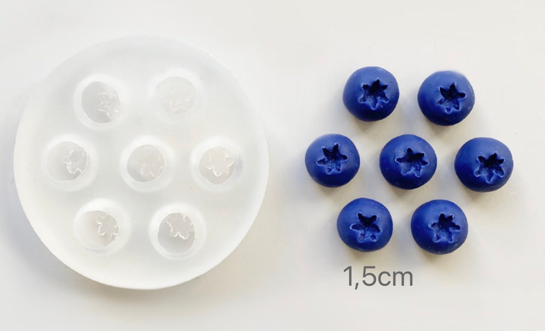 Blueberry Silicone Mold Resin Craft Resin Molding Castingalternative ...
