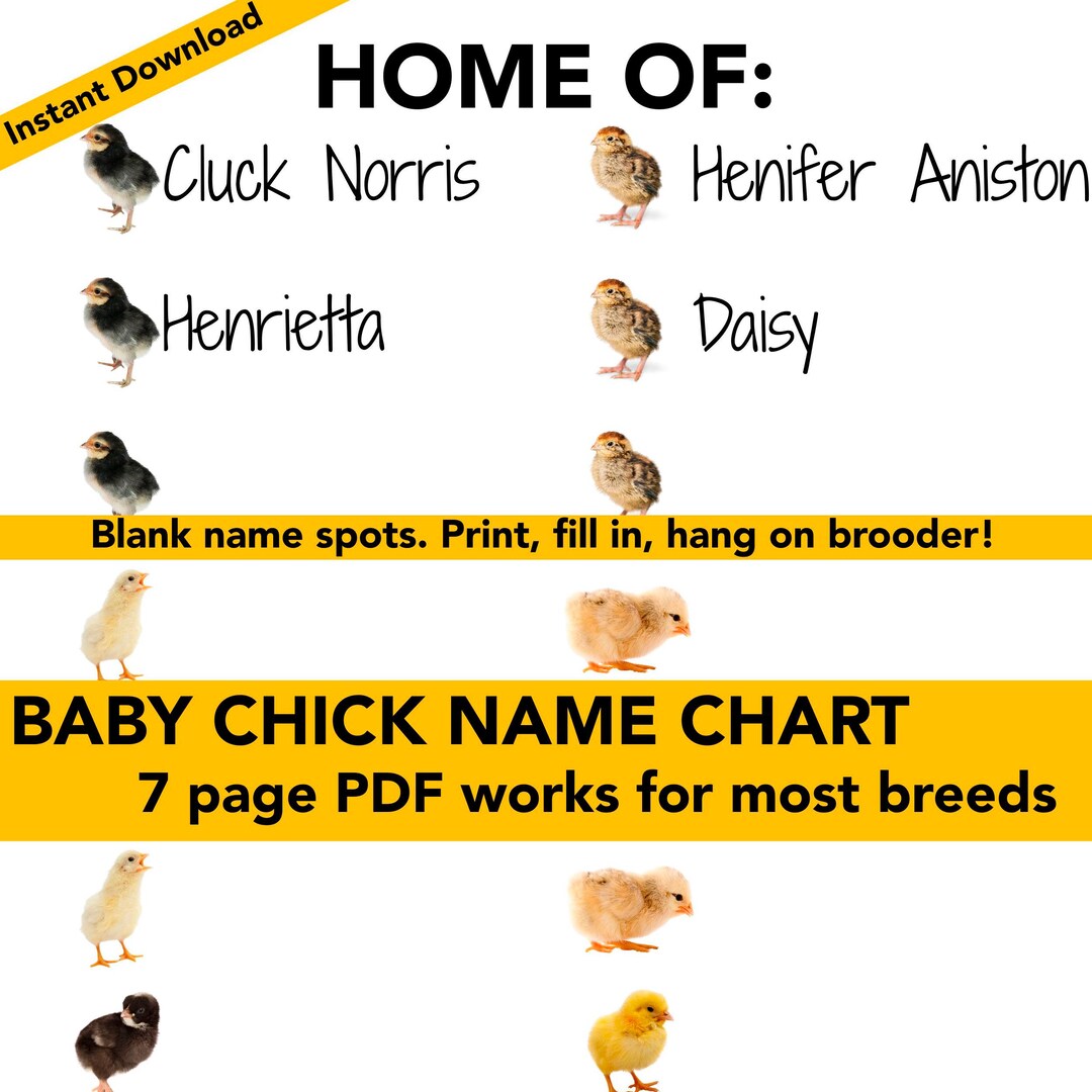 Printable Chicken Name Chart, Chick ID Card, Baby Chick Name Poster for ...