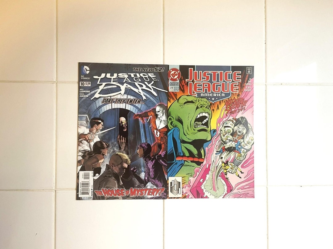 DC Comics Justice League 2 Book Bundle - Etsy