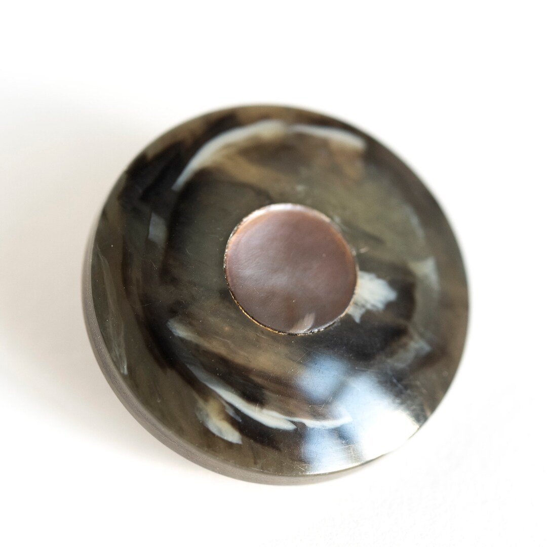 1900s Mother of Pearl & Galalith Button - Etsy