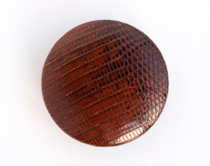 Vintage Brown Snakeskin Button ~ 2 Available - Etsy