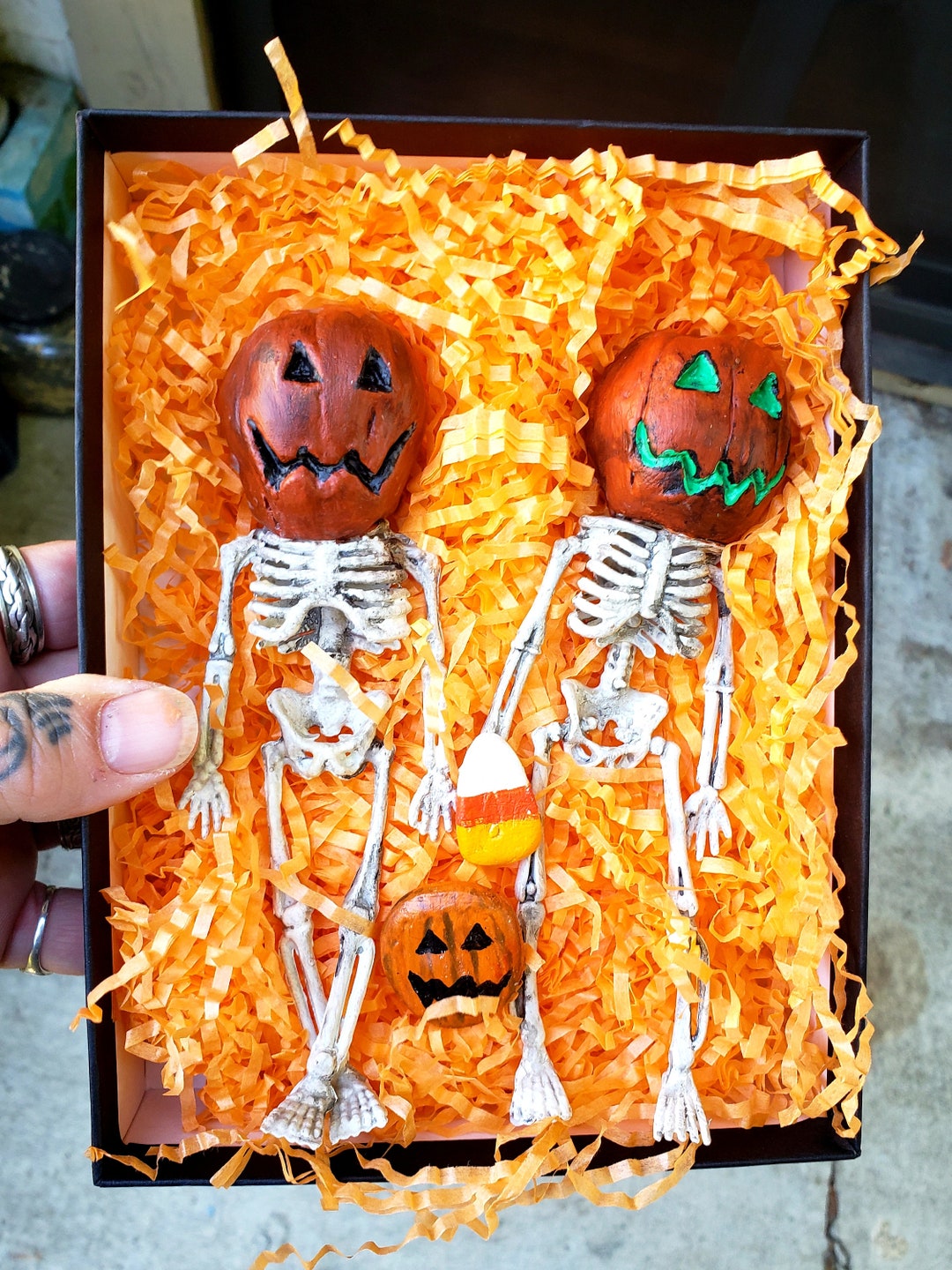 Pumpkin Pals: One of a Kind, Adoptable Pumpkin Friends. Pumpkin Pal Two ...