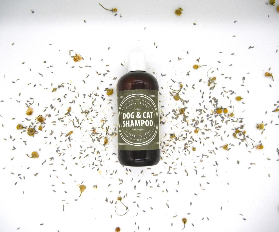 1-BOTTLE | Natural Dog & Cat Shampoo | Vegan Pet Shampoo| Lavender Pet ...