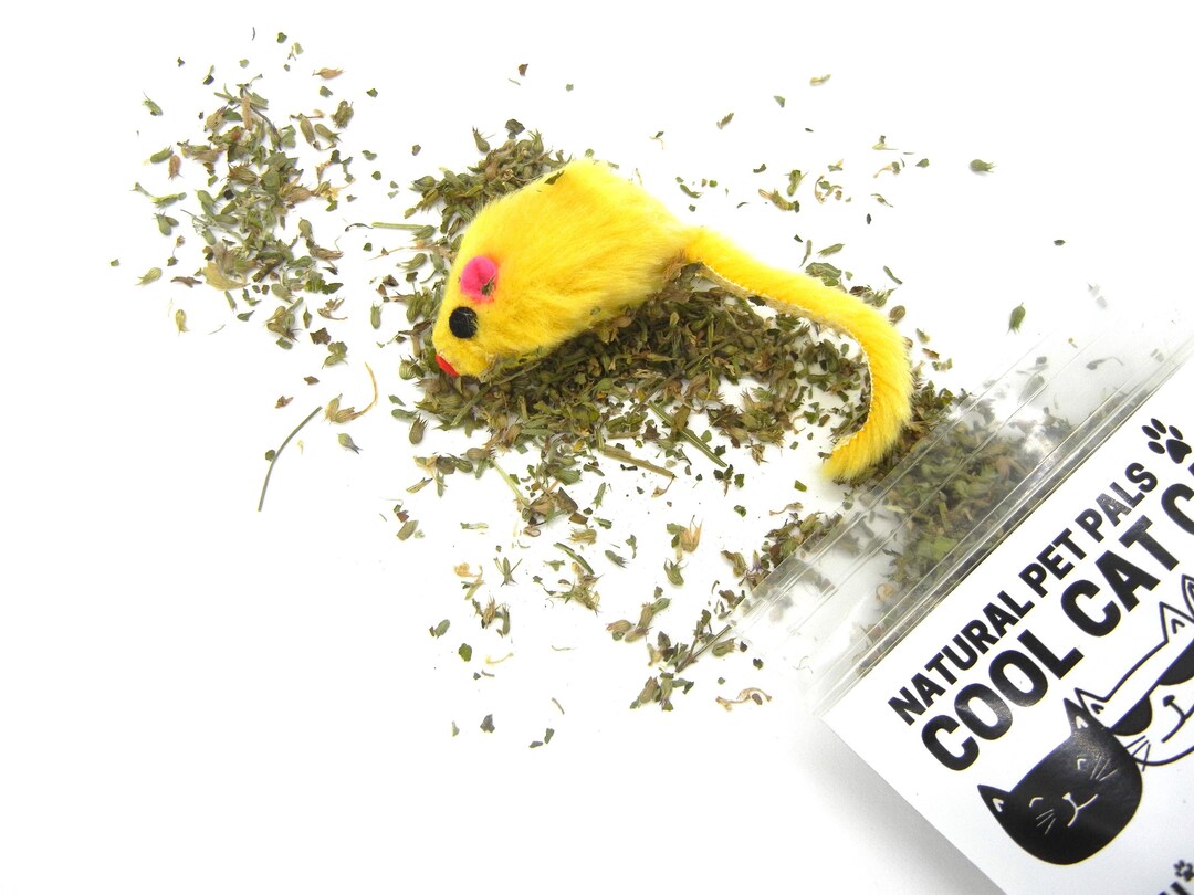 Organic Catnip With Toy Mouse – 1oz Catnip Pouch + Plush Toy – Fun Cat ...