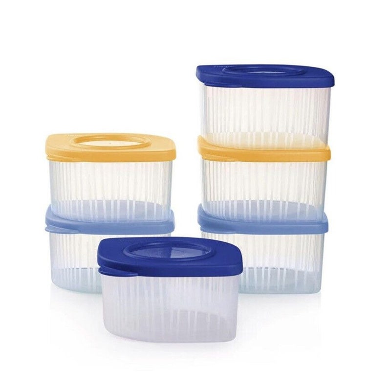 Tupperware Fresh 'N Cool Small Set NEW - Etsy Canada