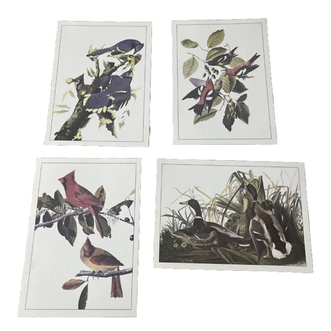 John James Audubon Lithographs Mallard Cardinal White-winged Crossbill ...