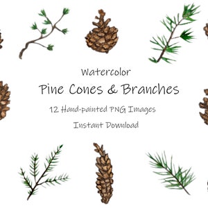 Watercolor Pine Cones & Branches Clipart-painted Pine Cone-pine Tree ...