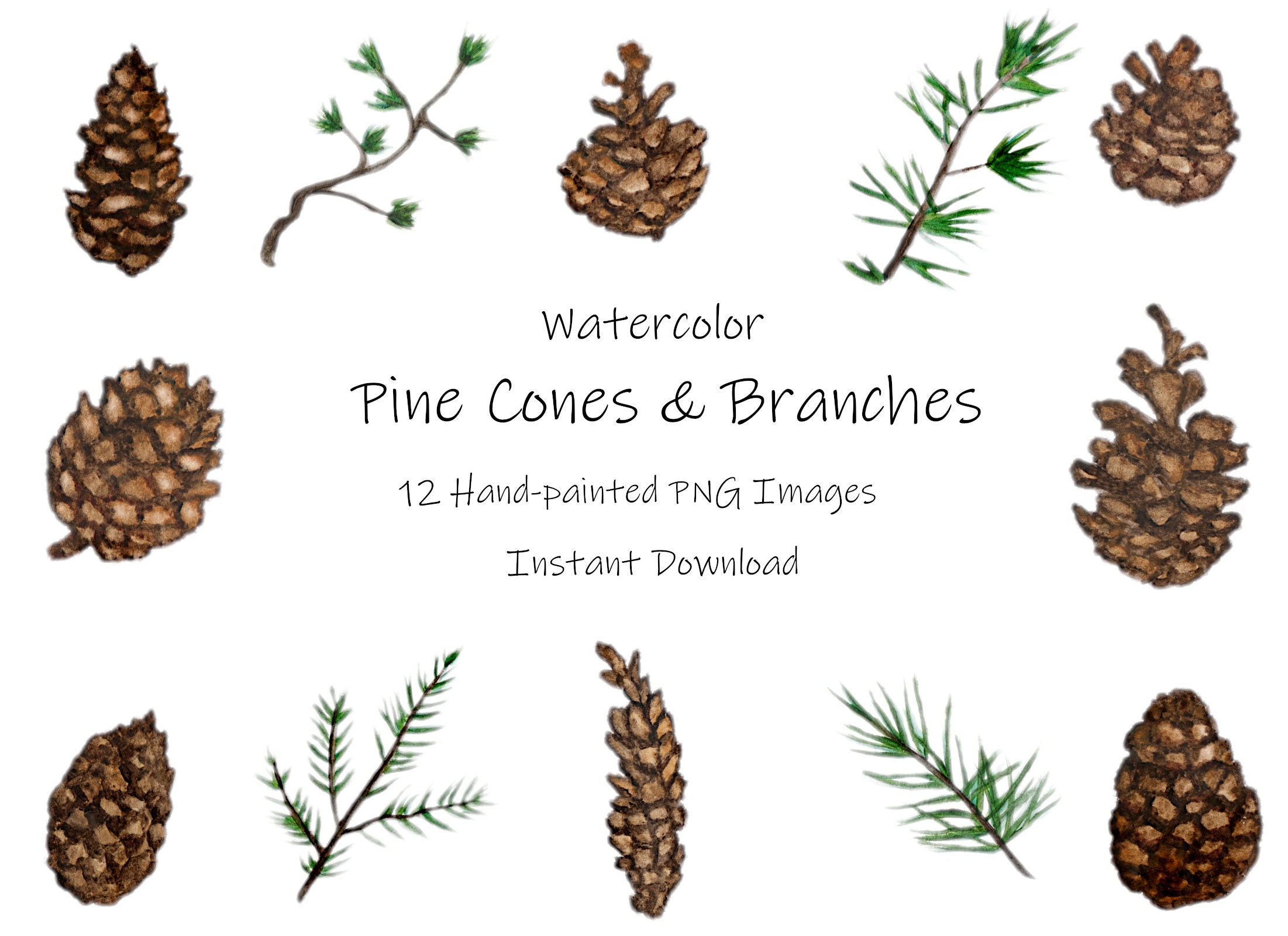 Watercolor Pine Cones & Branches Clipart-painted Pine Cone-pine Tree ...