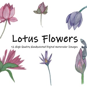 Watercolor Lotus Waterlily Flowers-handpainted Watercolor-digital ...