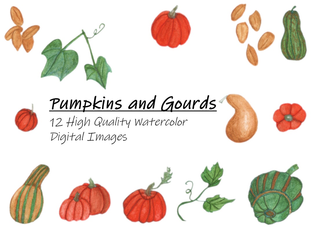Watercolor Pumpkins and Gourds Clipart-fall Harvest-autumn Instant ...