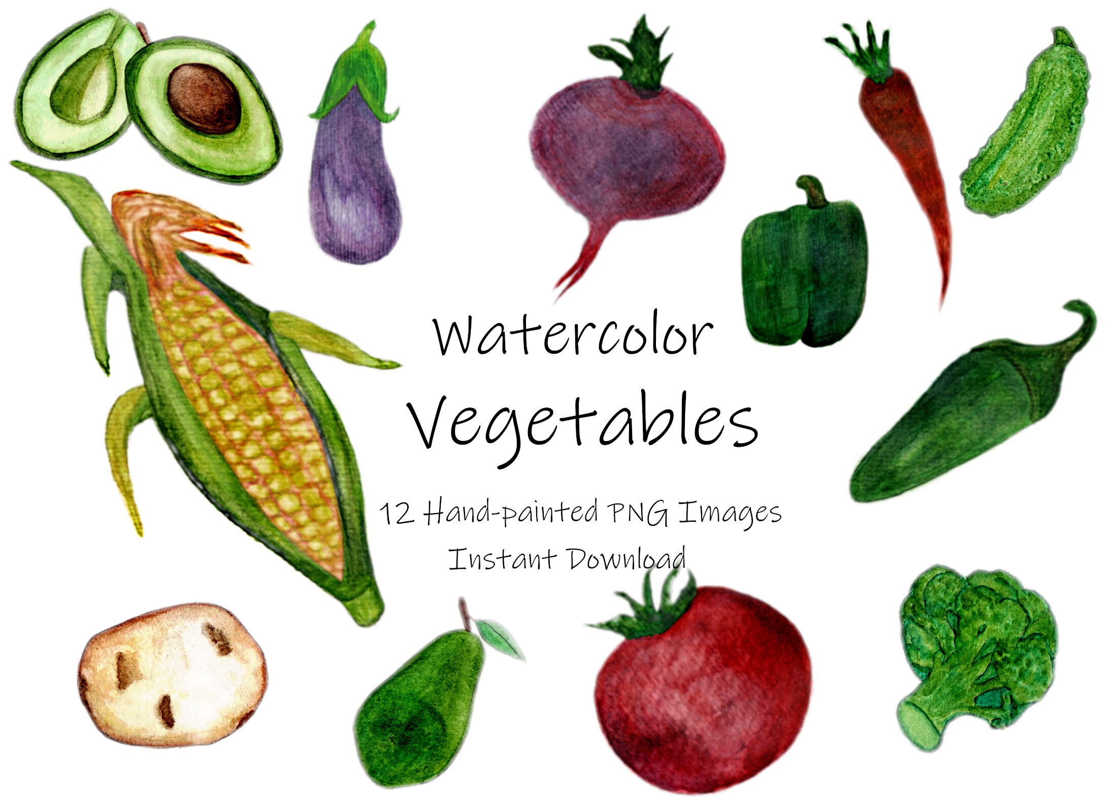 Watercolor Vegetable Clipart-vegetables Png-potato-corn-tomato-beet ...