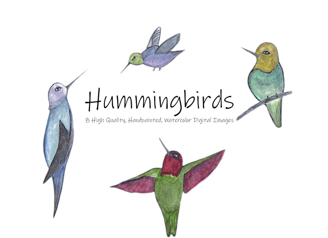 Watercolor Hummingbird Clip Art-colorful Hummingbirds, Hand Painted ...