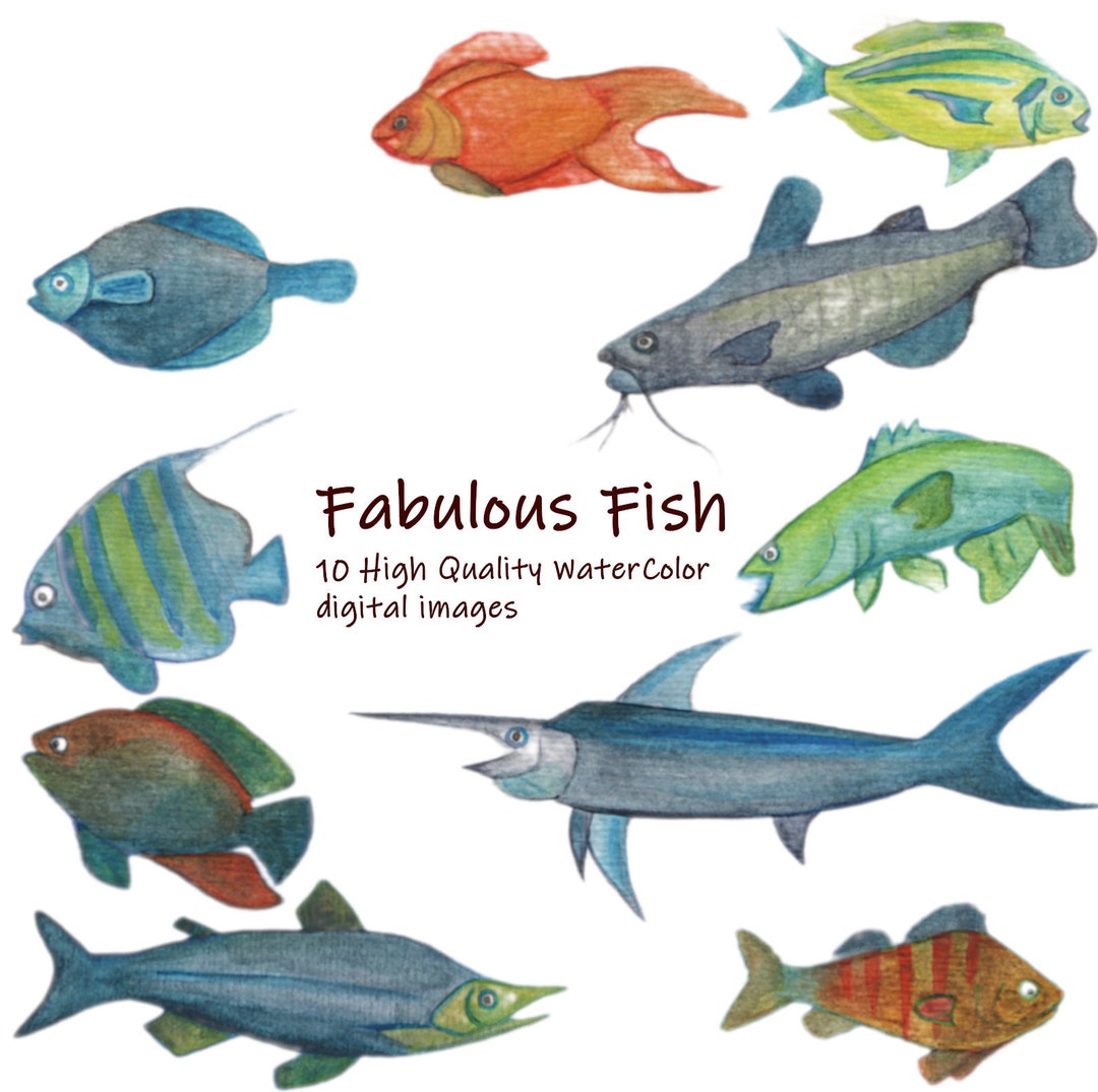 Watercolor Fish Clipart-coastal- Sea Animal Digital Images-instant ...