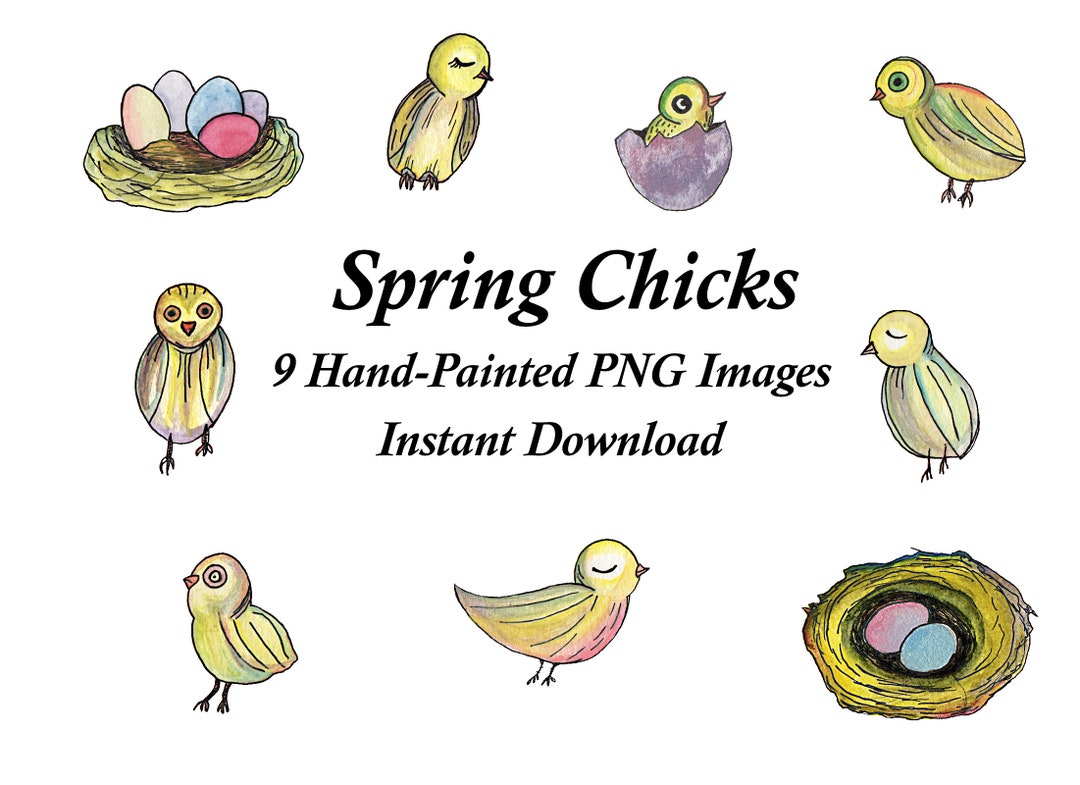 Watercolor Spring Chicks-spring Easter Watercolor Eggs and Chicks ...