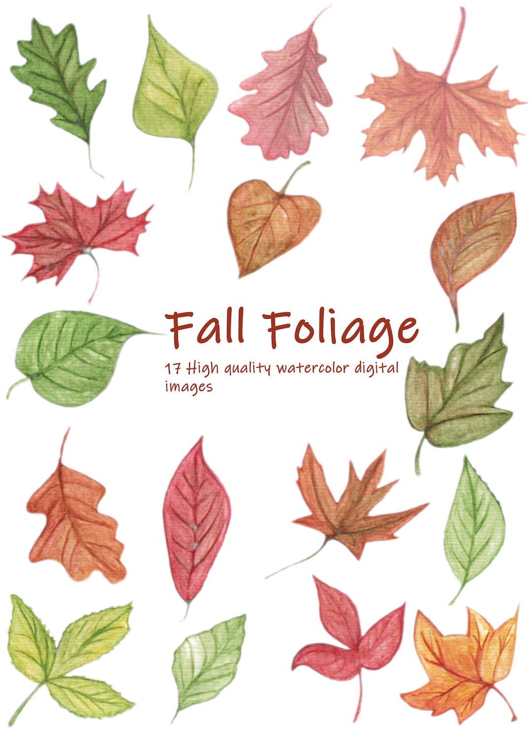 Watercolor Fall Leaves Clipart-autumn Leaves Clipart-ash-oak-maple ...