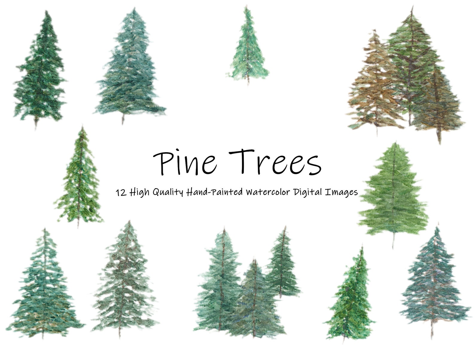 Watercolor Pine Trees Clipart-christmas Clipart-winter Wedding-conifers ...