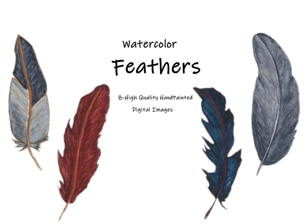 Feather Clipart Watercolor Tribal-digital Art-boho-feather - Etsy