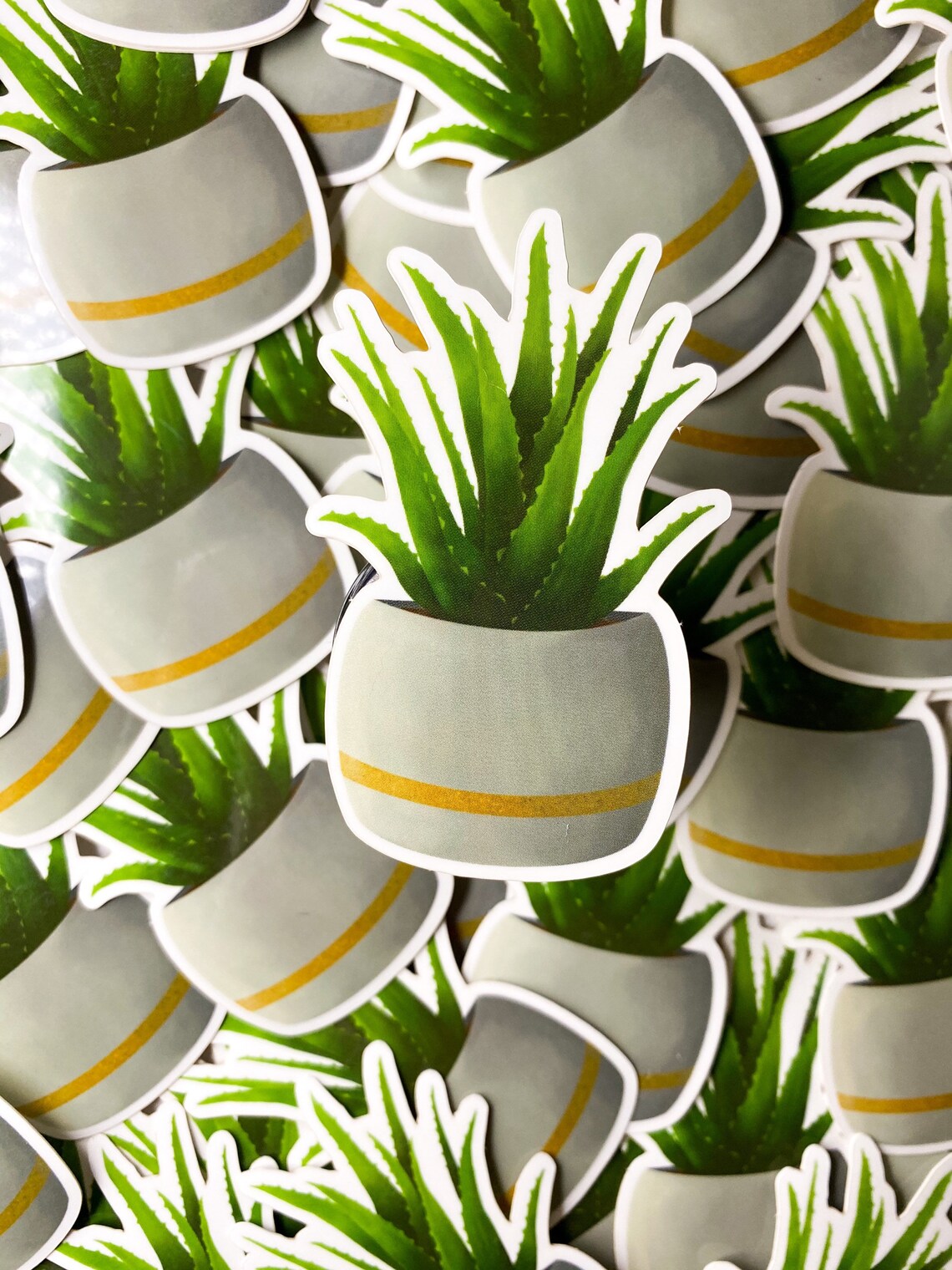 Aloe Vera Plant Sticker Plant Stickers Laptop Stickers Water Bottle ...