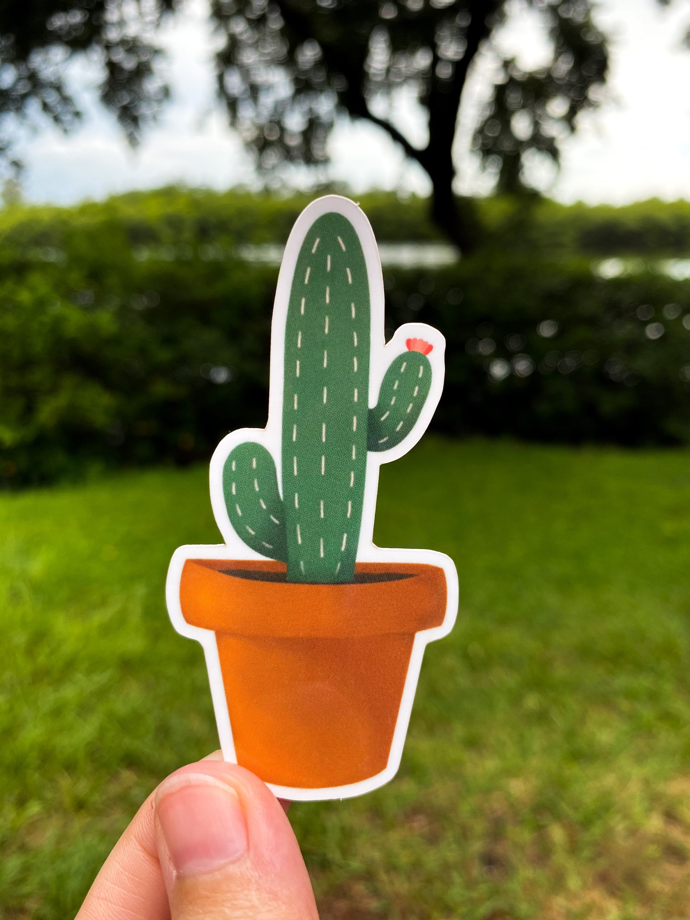 Cactus Vinyl Sticker | Plant Stickers | Laptop Stickers | Water Bottle ...