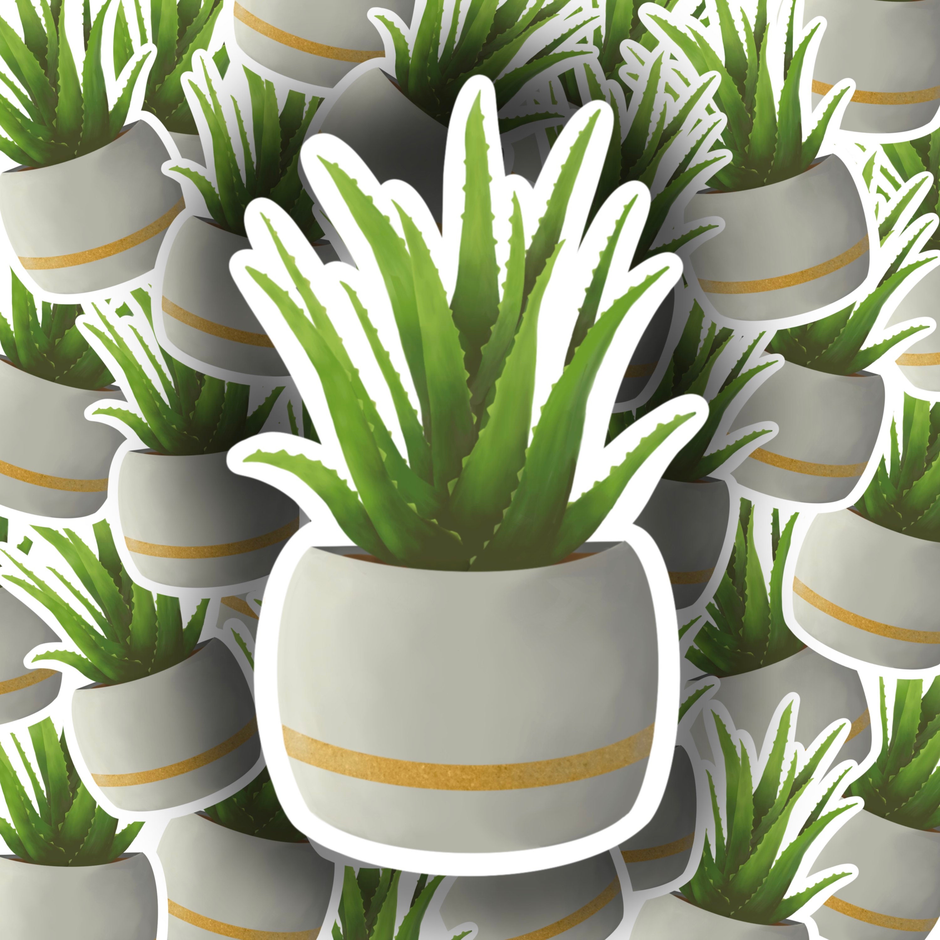 Aloe Vera Plant Sticker Plant Stickers Laptop Stickers Water Bottle ...