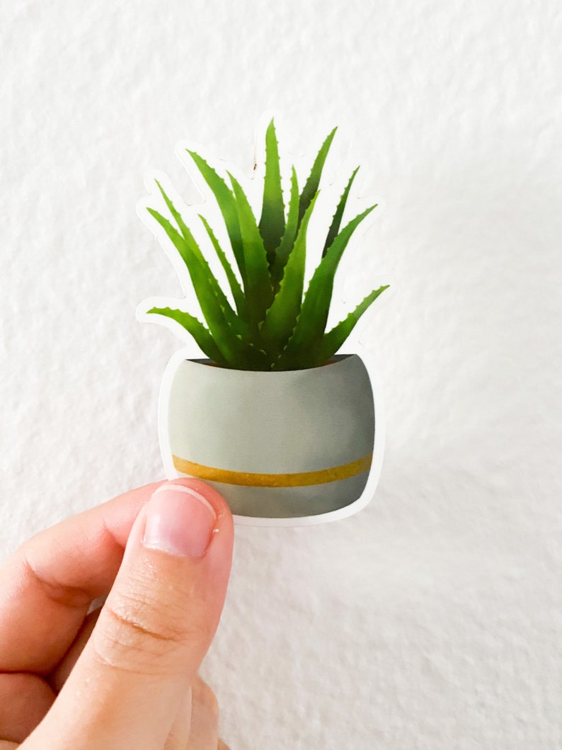 Aloe Vera Plant Sticker Plant Stickers Laptop Stickers Water Bottle ...