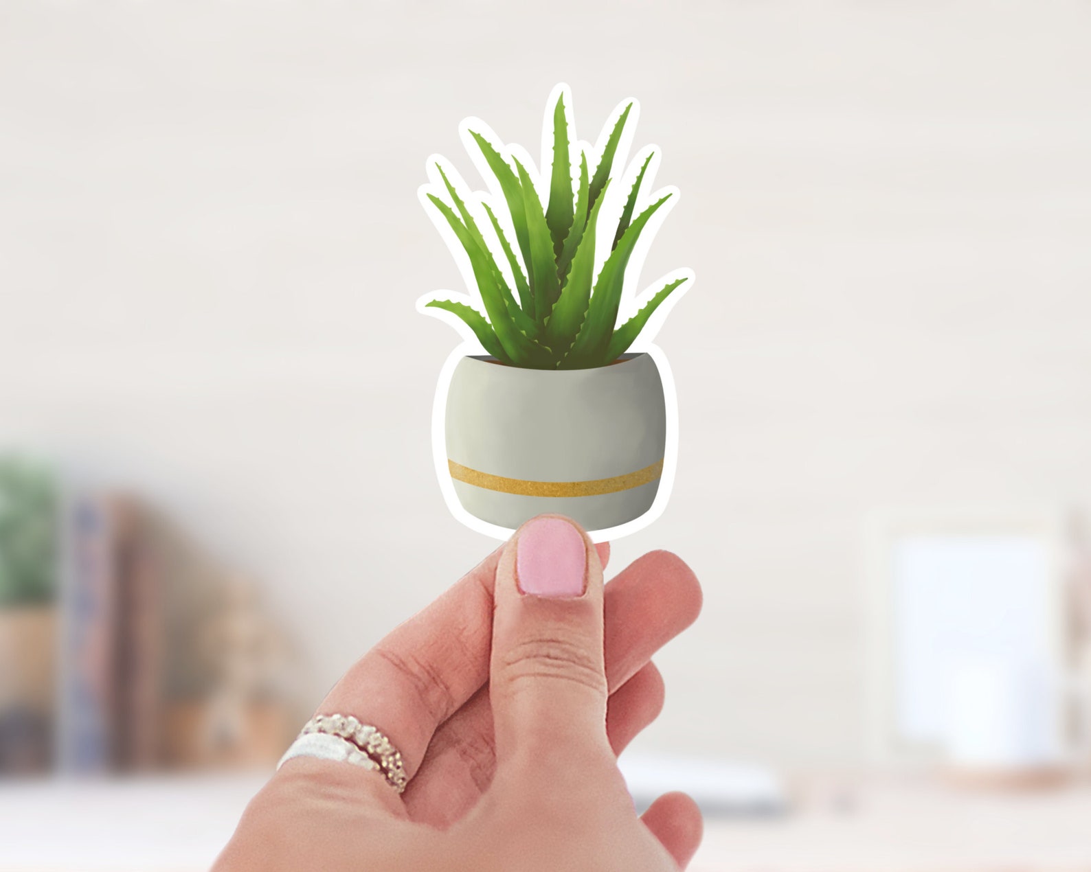 Aloe Vera Plant Sticker Plant Stickers Laptop Stickers Water Bottle ...