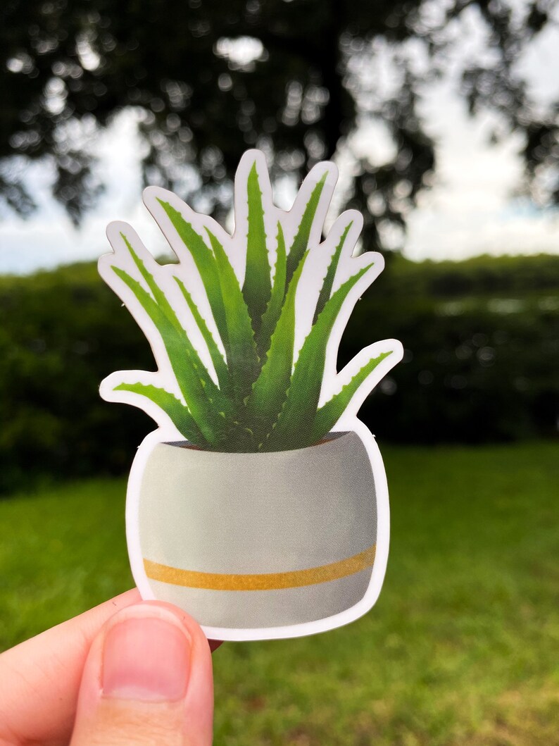 Aloe Vera Plant Sticker Plant Stickers Laptop Stickers Water Bottle ...