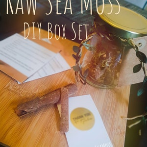 Make It Yourself DIY Sea Moss Box - Etsy
