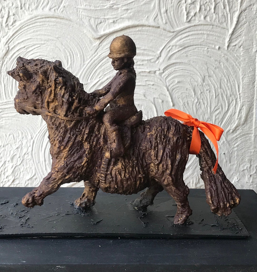 Tinkerbell the Shetland Pony and the First Time Rider - Etsy