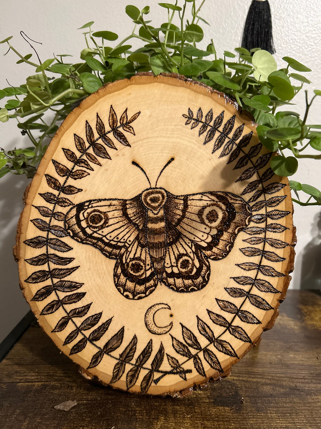 Moth Wood Burning Art - Etsy