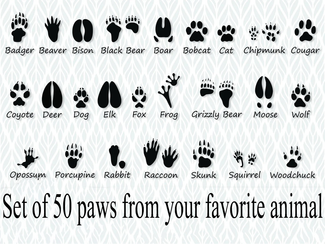 Printable Squirrel Track