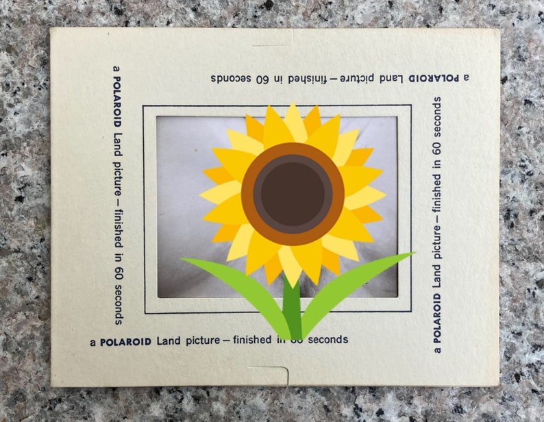 Vintage 1950-60s Mature NUDE Polaroid Photograph of a Risqué - Etsy