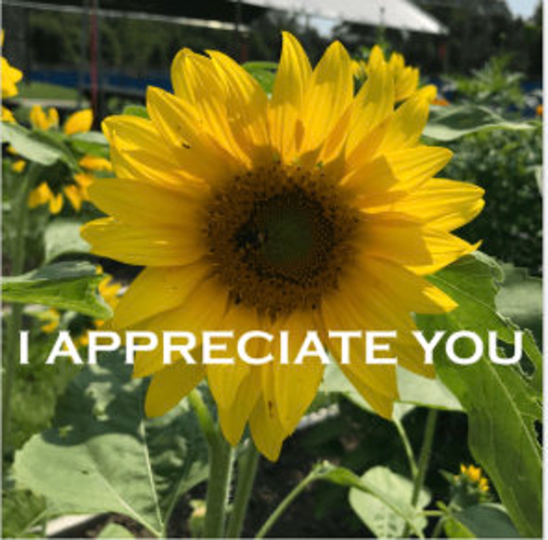 I Appreciate You Stickers - 10 Pack Bags of Sunflowers - Etsy