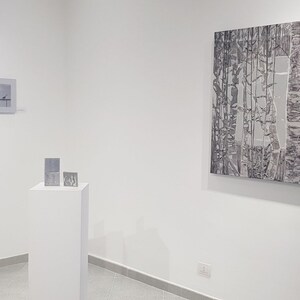 Forest Lake Finalist Work of "comel Award 2023" Italy Grey Artwork ...